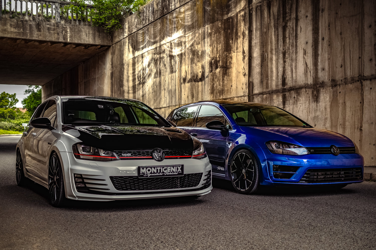 Contact – MONTIGENIX